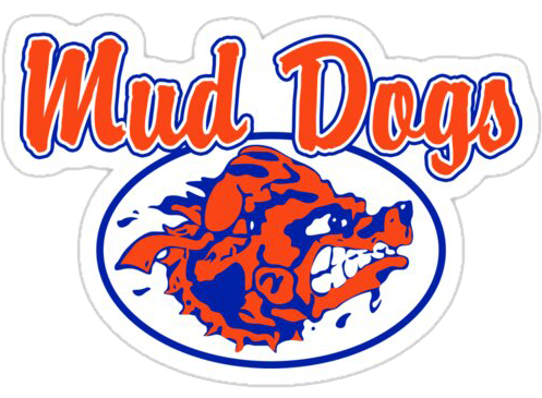mud dogs – ADHD from 9 to 5 — Coaching for Professionals and Entrepreneurs